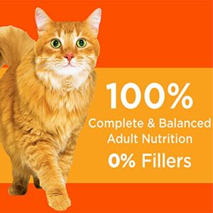 IAMS PROACTIVE HEALTH Adult Healthy Dry Cat Food with Chicken Cat Kibble, 22 lb. Bag