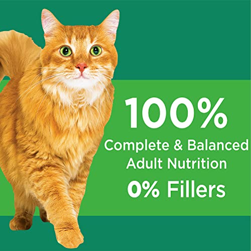 IAMS PROACTIVE HEALTH Healthy Senior Dry Cat Food with Chicken Cat Kibble, 3.5 lb. Bag