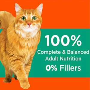 IAMS PROACTIVE HEALTH Adult Hairball Care Dry Cat Food with Chicken and Salmon Cat Kibble, 3.5 lb. Bag