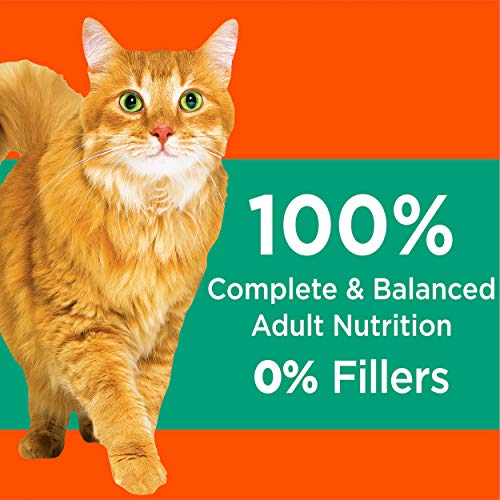 IAMS PROACTIVE HEALTH Adult Hairball Care Dry Cat Food with Chicken and Salmon Cat Kibble, 3.5 lb. Bag