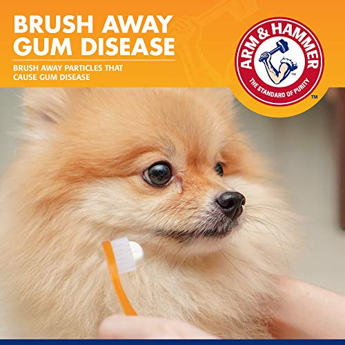 Arm & Hammer for Pets Dental Toothbrush & Cover for Small Dogs | Best Toothbrush with Cover for Small Dog Breeds | Easy to Use and Convenient Dog Toothbrush