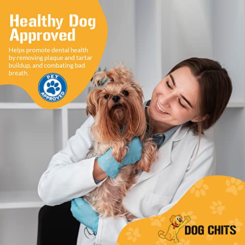 Dog Chits Lamb Ears Dog and Puppy Treats - All Natural Grain and Chemical Free Training Chews - High Protein and Low Fat - Supports Dental Health - Made in The USA - 25 Pack