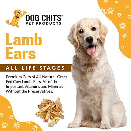 Dog Chits Lamb Ears Dog and Puppy Treats - All Natural Grain and Chemical Free Training Chews - High Protein and Low Fat - Supports Dental Health - Made in The USA - 25 Pack