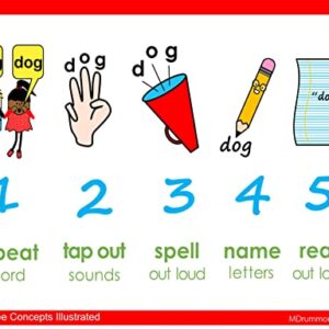 LiteraSee Concepts Illustrated, Five Orton-Gillingham based levels