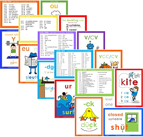 LiteraSee Concepts Illustrated, Five Orton-Gillingham based levels