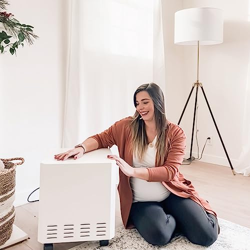 EnviroKlenz Home Air Purifier 1000 Sq Ft Standard, With HEPA filter (White) | Maximum Coverage, Minimum Noise | Eliminate Particles, Odors, Dust, Pet Dander, Allergies, Smoke, and More