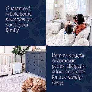 EnviroKlenz Home Air Purifier 1000 Sq Ft Standard, With HEPA filter (White) | Maximum Coverage, Minimum Noise | Eliminate Particles, Odors, Dust, Pet Dander, Allergies, Smoke, and More