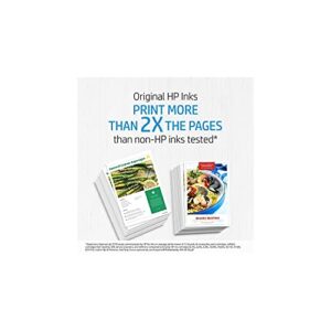 HP 62 | 2 Ink Cartridges | Black | Works with HP ENVY 5500 Series, 5600 Series, 7600 Series, HP OfficeJet 200, 250, 258, 5700 Series, 8040 | C2P04AN