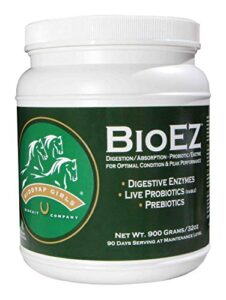 giddyap girls bioez 32 oz.