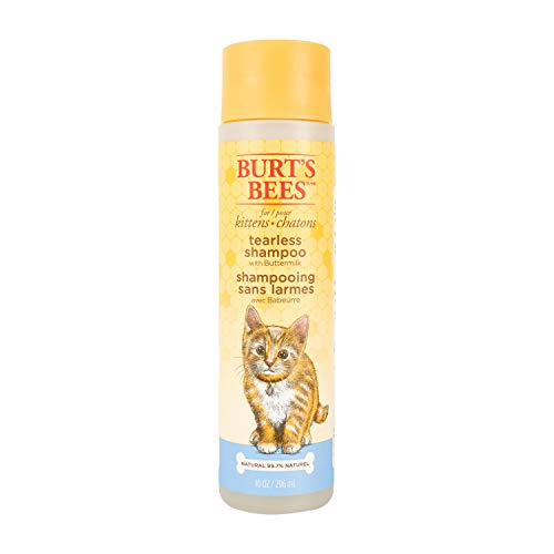 Burt's Bees for Pets Kitten Natural Tearless Shampoo with Buttermilk, 10 Oz - Burts Bees Cat Shampoo, Kitten Shampoo for Cats - Cat Grooming Supplies, Cat Bath Supplies, Kitty Shampoo, Pet Shampoo