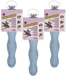 (3 pack) living world pedi-perch, medium, colors may vary