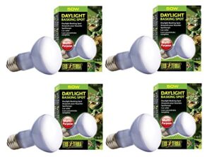 exo terra sun-glo basking spot lamp, 50-watt/120-volt (4 pack)