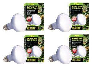 exo terra sun-glo basking spot lamp, 75-watt/120-volt (4 pack)