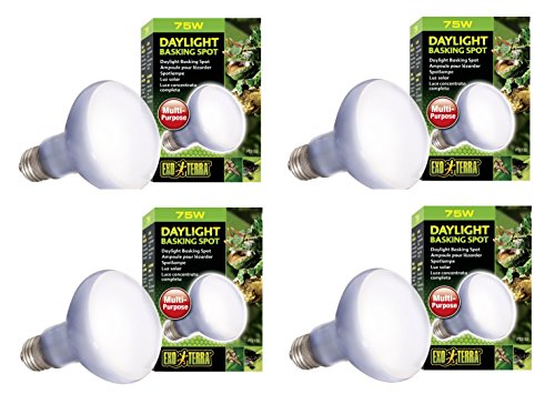 Exo Terra Sun-Glo Basking Spot Lamp, 75-Watt/120-Volt (4 Pack)