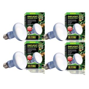 exo terra sun-glo basking spot lamp, 100-watt/120-volt (4 pack)