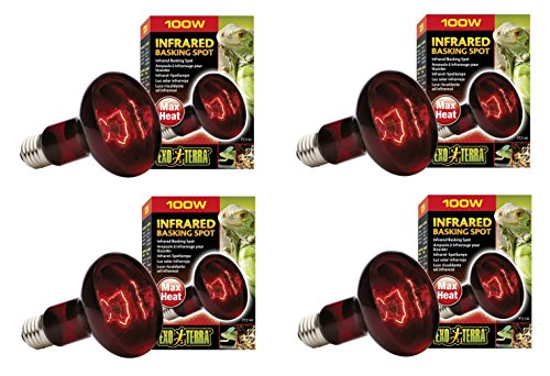 Exo Terra Heat-Glo Infrared Spot Lamp, 100-Watt/120-Volt (4 Pack)