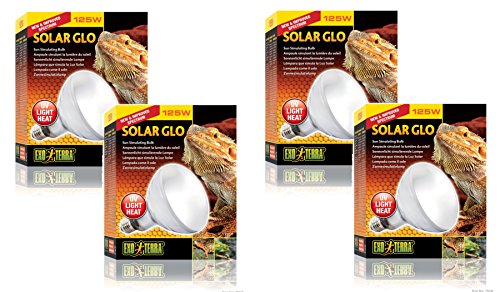 (4 Pack) Exo Terra Solar-Glo High Intensity Self-Ballasted Uv/Heat Mercury Vapor Lamp, 125 Watt