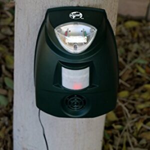 Cleanrth TSBR620 Super Advanced Sonic/Ultrasonic Bird Repeller w/Triple Scan Technology