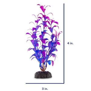 imagitarium Purple & Blue Foreground Aquarium Plant