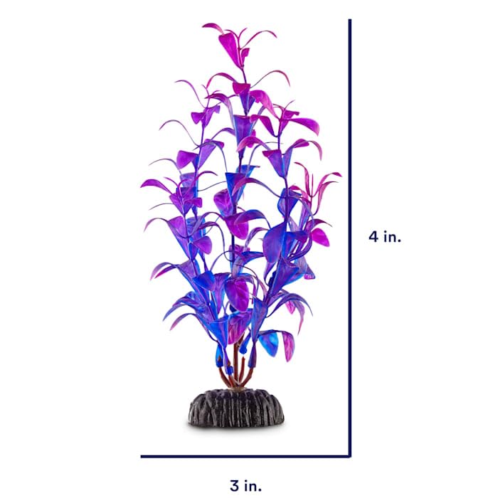 imagitarium Purple & Blue Foreground Aquarium Plant