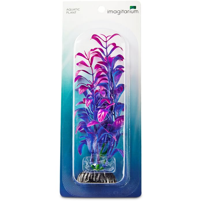 imagitarium Purple & Blue Foreground Aquarium Plant