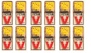 victor ez set mouse trap (pack of 12)