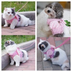 Pink Cute Adorable Pet Cat Dog Harness and Leash Set with Lace Artificial Pearl Angel Wing (Small)