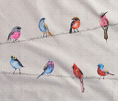 Maison d' Hermine Birdies On Wire 100% Cotton Set of 2 Multi-Purpose Kitchen Soft Absorbent Dish Towels | Tea , Bar Towels (20 Inch by 27.50 Inch)