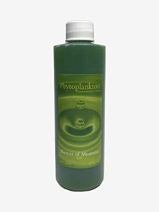 live marine phytoplankton - 8oz bottle