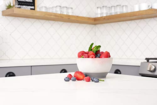 Host Ice Cream Freeze Bowl, Double Walled Insulated Freezer Gel Chiller Kitchen Accessory for Dessert, Dip, Cereal, with Comfort Silicone Grip, Plastic, Grey, 0.47 liters