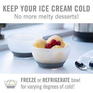 Host Ice Cream Freeze Bowl, Double Walled Insulated Freezer Gel Chiller Kitchen Accessory for Dessert, Dip, Cereal, with Comfort Silicone Grip, Plastic, Grey, 0.47 liters