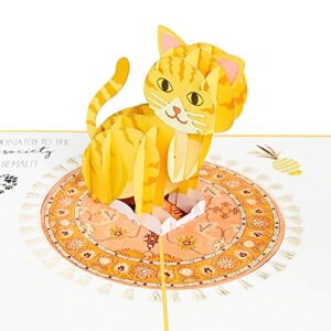 PopLife Funny Kitten Pop Up Card ($1 Donation to the Humane Society) - Cat Lover Card for All Occasions, Mother's Day, Father's Day, Veterinarian Gift - Happy Birthday, Just Because, Get Well