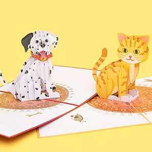 PopLife Funny Kitten Pop Up Card ($1 Donation to the Humane Society) - Cat Lover Card for All Occasions, Mother's Day, Father's Day, Veterinarian Gift - Happy Birthday, Just Because, Get Well