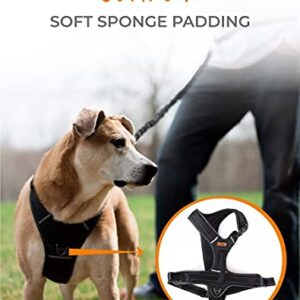 Mighty Paw Sport Harness, No-Pull Front Attachment Dog Harness, Neoprene Padded Lining, Reflective Stitching, 2 Leash Attachment Options (X-Large, Black)