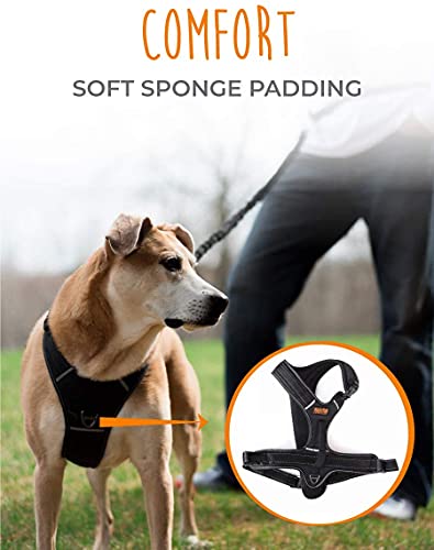 Mighty Paw Sport Harness, No-Pull Front Attachment Dog Harness, Neoprene Padded Lining, Reflective Stitching, 2 Leash Attachment Options (X-Large, Black)