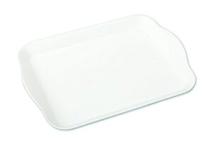 amazing child attractive premium small plastic tray. approx. 11" x 8"