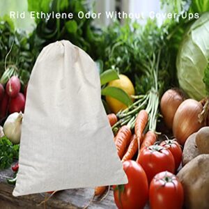 SMELLEZE Reusable Ethylene Gas Remover Pouch: Treats 150 Sq. Ft. to Keep Vegetables Fresher Longer