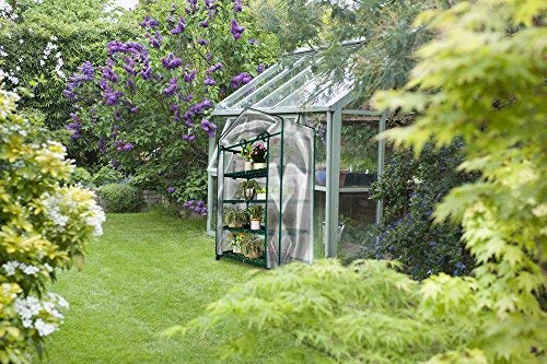 Home-Complete Mini Greenhouse-4-Tier Indoor Outdoor Sturdy Portable Shelves-Grow Plants, Seedlings, Herbs, or Flowers In Any Season-Gardening Rack, Green