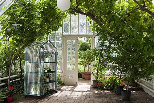 Home-Complete Mini Greenhouse-4-Tier Indoor Outdoor Sturdy Portable Shelves-Grow Plants, Seedlings, Herbs, or Flowers In Any Season-Gardening Rack, Green