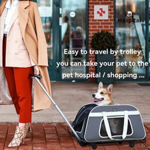 Petsfit Pet Carrier with Removable Wheels