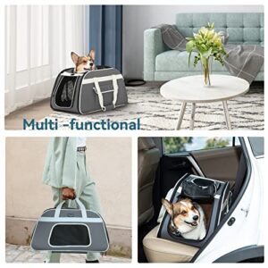 Petsfit Pet Carrier with Removable Wheels