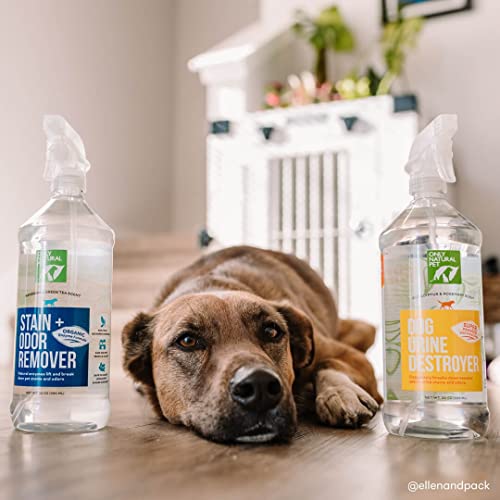 Only Natural Pet Enzyme Powered Stain & Odor Eliminator - Professional Pet Urine Pee Cleaner Deodorizer For Dogs - Hardwood Floors Carpets Upholstery - Fresh Mandarin Orange & Green Tea Scent - 32Floz