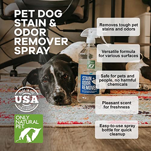 Only Natural Pet Enzyme Powered Stain & Odor Eliminator - Professional Pet Urine Pee Cleaner Deodorizer For Dogs - Hardwood Floors Carpets Upholstery - Fresh Mandarin Orange & Green Tea Scent - 32Floz