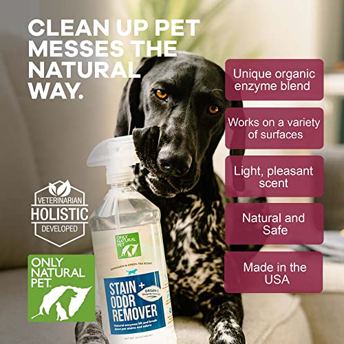 Only Natural Pet Enzyme Powered Stain & Odor Eliminator - Professional Pet Urine Pee Cleaner Deodorizer For Dogs - Hardwood Floors Carpets Upholstery - Fresh Mandarin Orange & Green Tea Scent - 32Floz