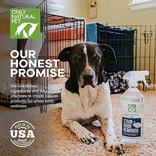 Only Natural Pet Enzyme Powered Stain & Odor Eliminator - Professional Pet Urine Pee Cleaner Deodorizer For Dogs - Hardwood Floors Carpets Upholstery - Fresh Mandarin Orange & Green Tea Scent - 32Floz