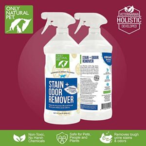 Only Natural Pet Enzyme Powered Stain & Odor Eliminator - Professional Pet Urine Pee Cleaner Deodorizer For Dogs - Hardwood Floors Carpets Upholstery - Fresh Mandarin Orange & Green Tea Scent - 32Floz