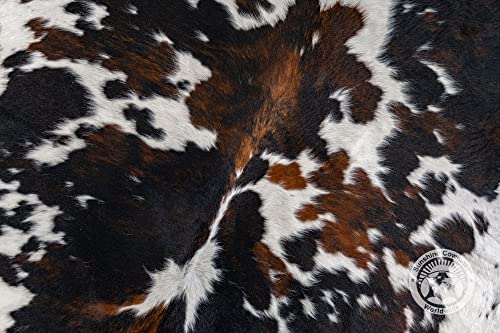 Genuine Brindle Tricolor Cowhide Rug XL 6 x 7-8 ft. 180 x 240 cm