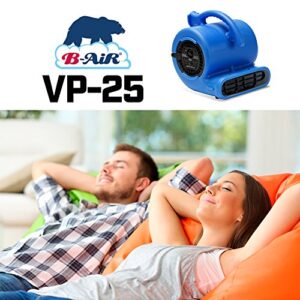 B-Air VP-25 1/4 HP 900 CFM Air Mover for Water Damage Restoration Equipment Carpet Dryer Floor Blower Fan Home and Plumbing Use, Blue