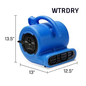 B-Air VP-25 1/4 HP 900 CFM Air Mover for Water Damage Restoration Equipment Carpet Dryer Floor Blower Fan Home and Plumbing Use, Blue