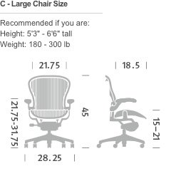 Herman Miller Classic Aeron Chair - Fully Adjustable, C size, Adjustable Lumbar, Carpet Casters